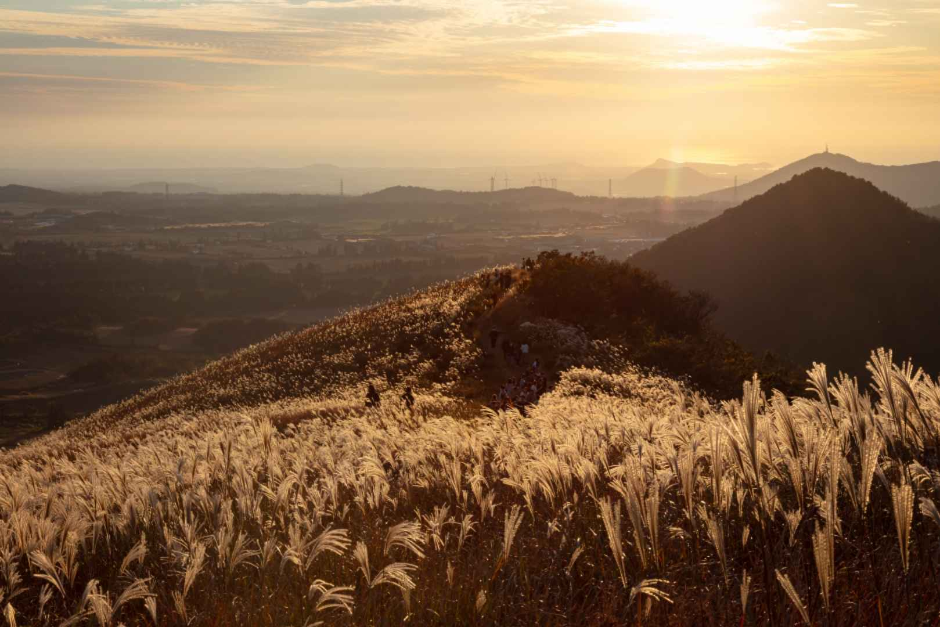 Saebyeol-Oreum-새별오름 - THE KOREAN DREAM- Blog Corée du Sud - La Corée ...